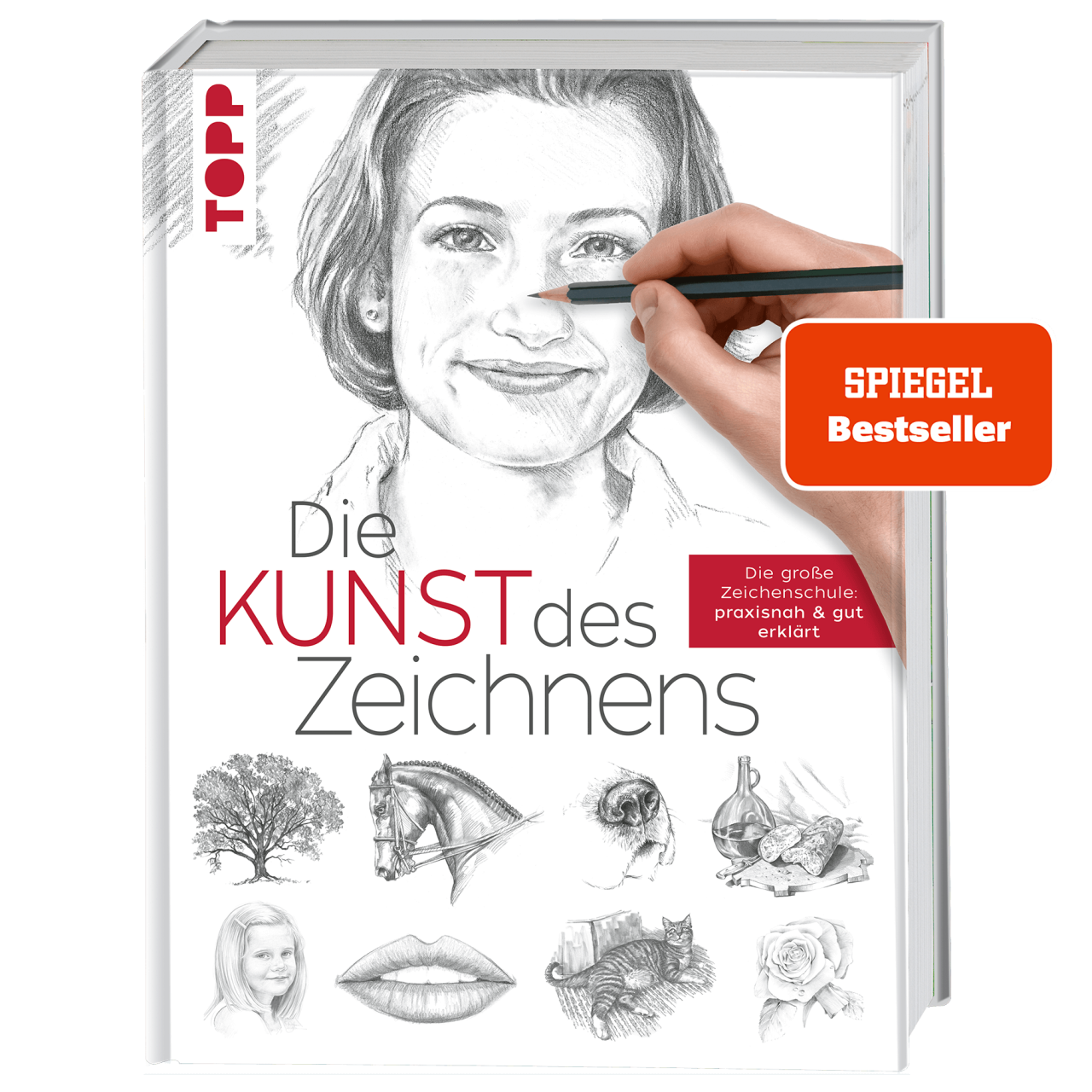 Line Art zeichnen | TOPP
